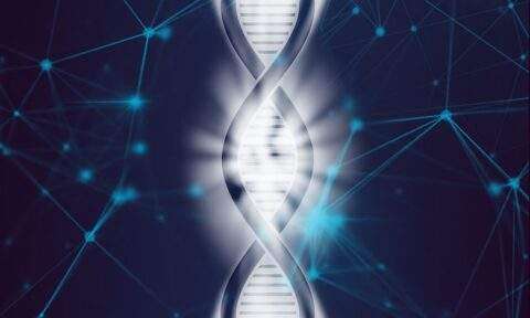 What is DNA Activation: Exploring the Science and Benefits - Soul ...